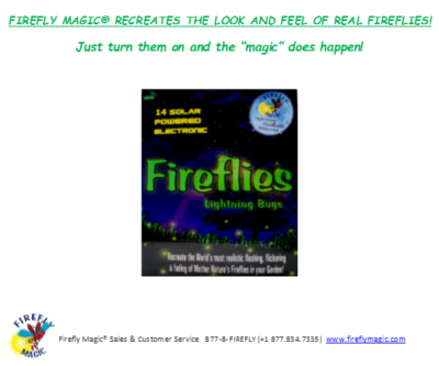 Firefly.org | Firefly & Lightning Bug Facts, Pictures, Information