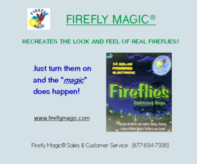 Facts About Fireflies & Lightning Bugs | Firefly.org