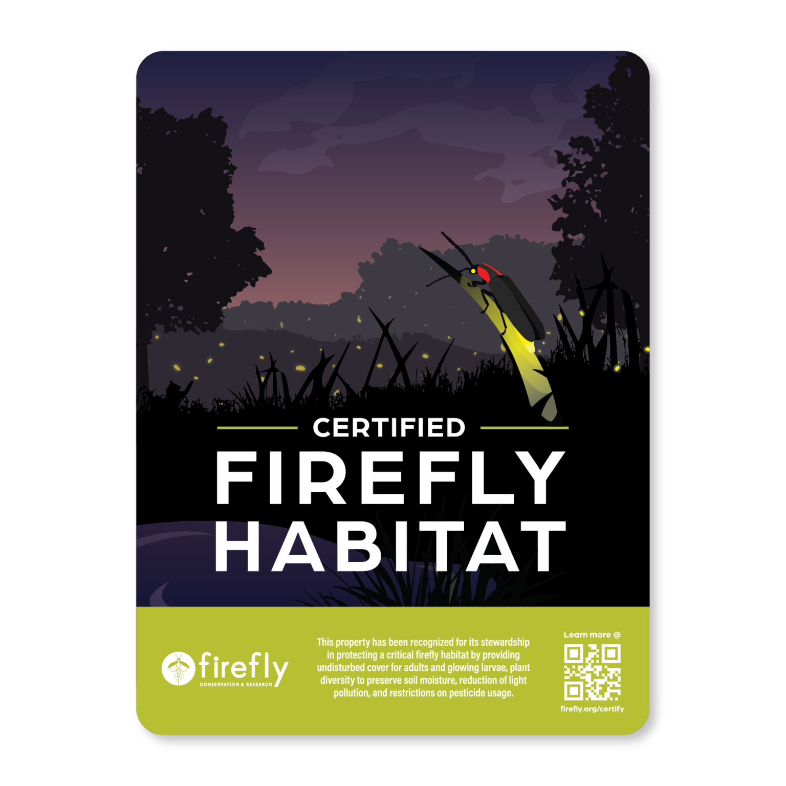 Firefly.org | Firefly & Lightning Bug Facts, Pictures, Information