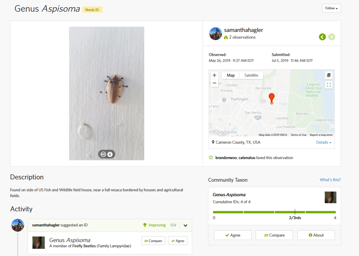 Record A Firefly Sighting! Map of Firefly Sightings Worldwide | Firefly.org