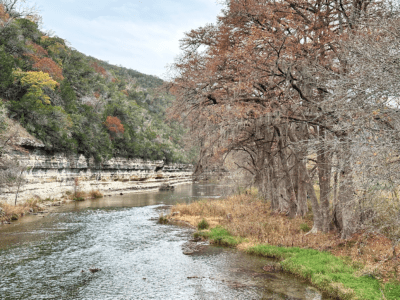 What is a Riparian Zone? - Firefly.org