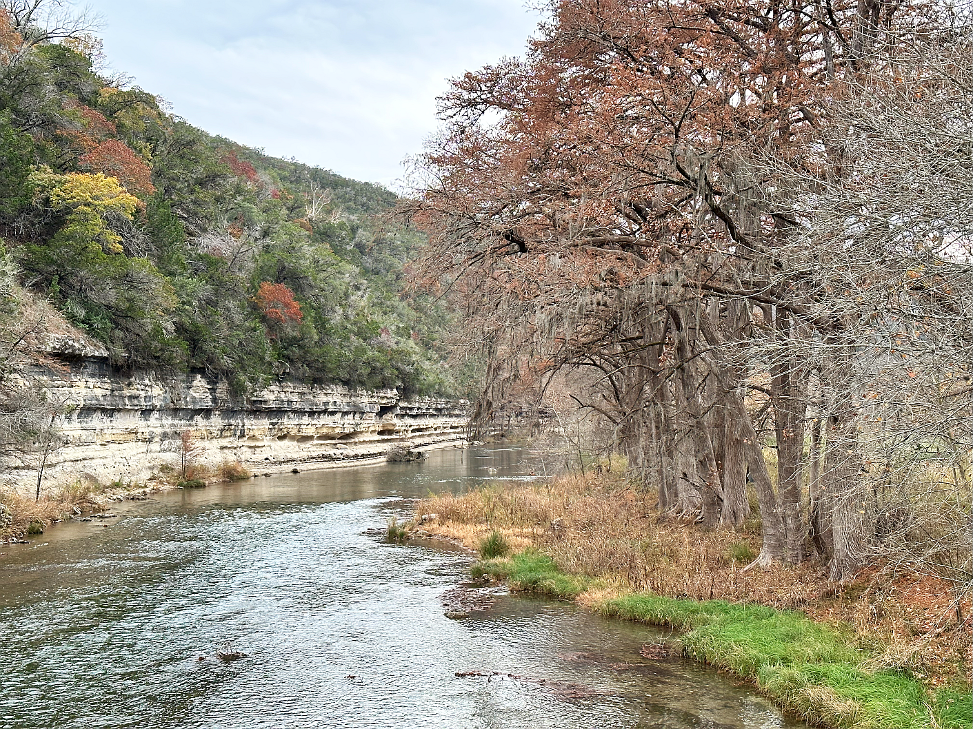 What is a Riparian Zone? - Firefly.org