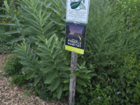 Certified Firefly Habitat Sign - Firefly Conservation & Research