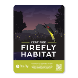 Most Common Names for Fireflies | What is Firefly in Other Foreign ...